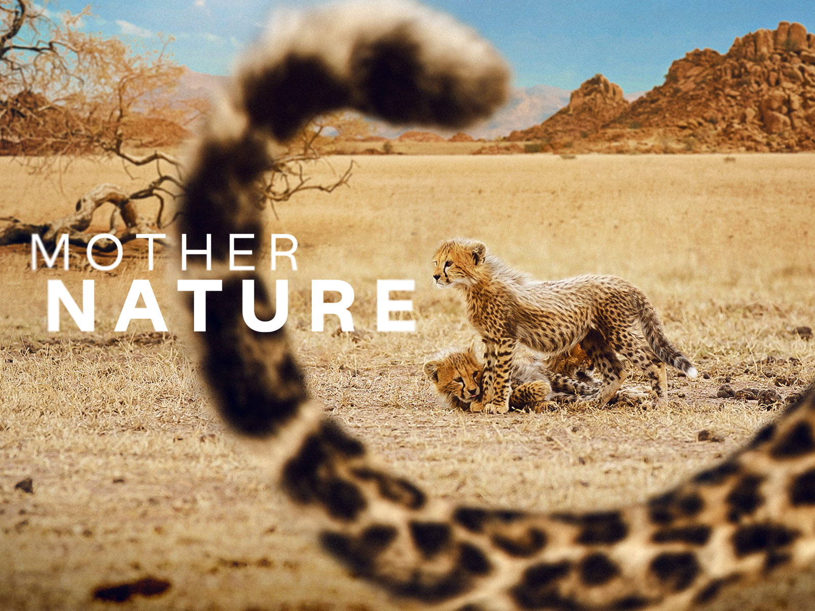 Prime Video: Mother Nature - Season 1