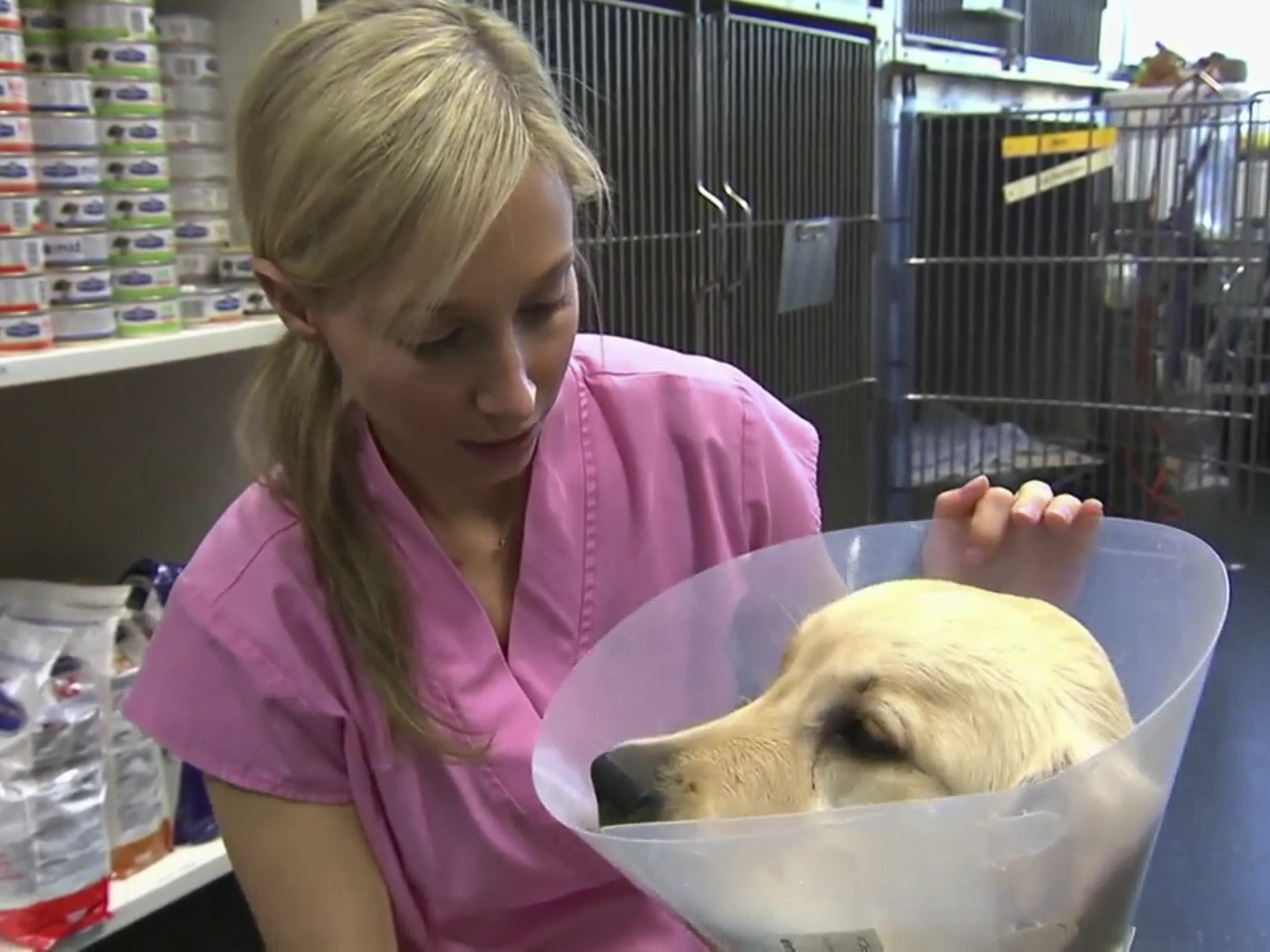 Prime Video: Bondi Vet - Season 2