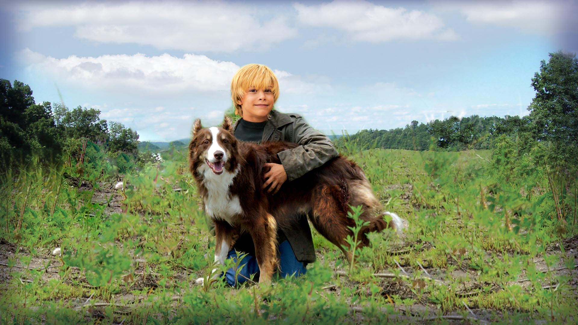 Watch Sheeba | Prime Video