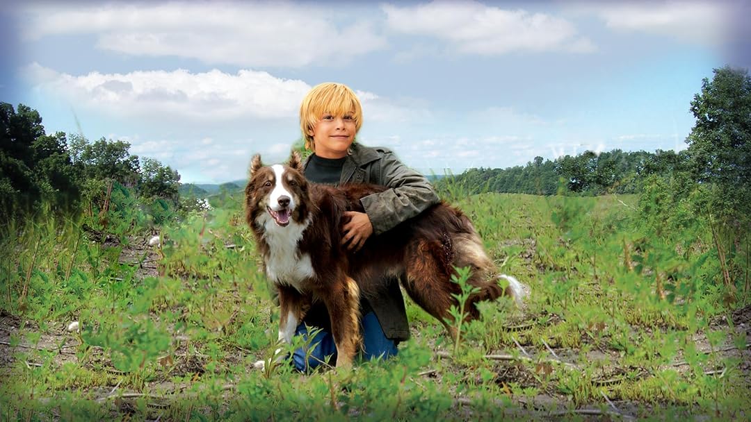 Watch Sheeba | Prime Video