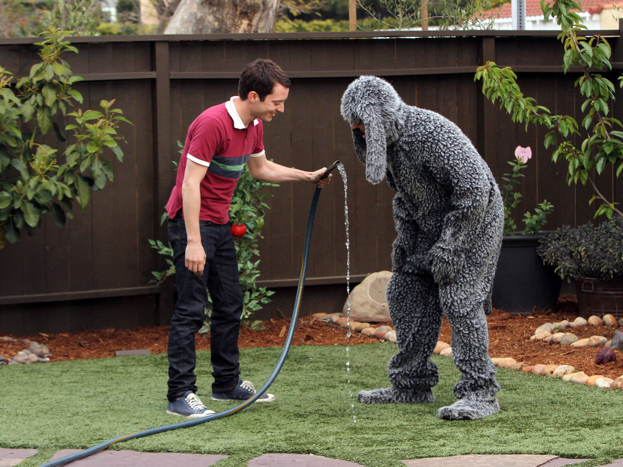 Prime Video: Wilfred