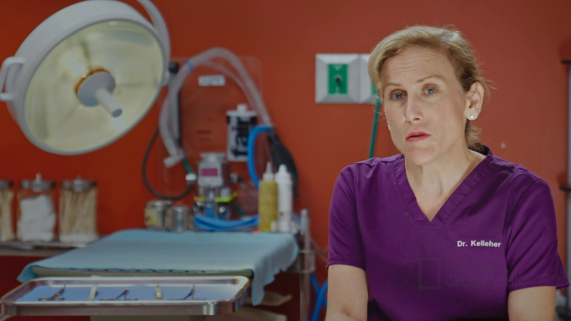 Prime Video: Dr. K's Exotic Animal ER - Season 6