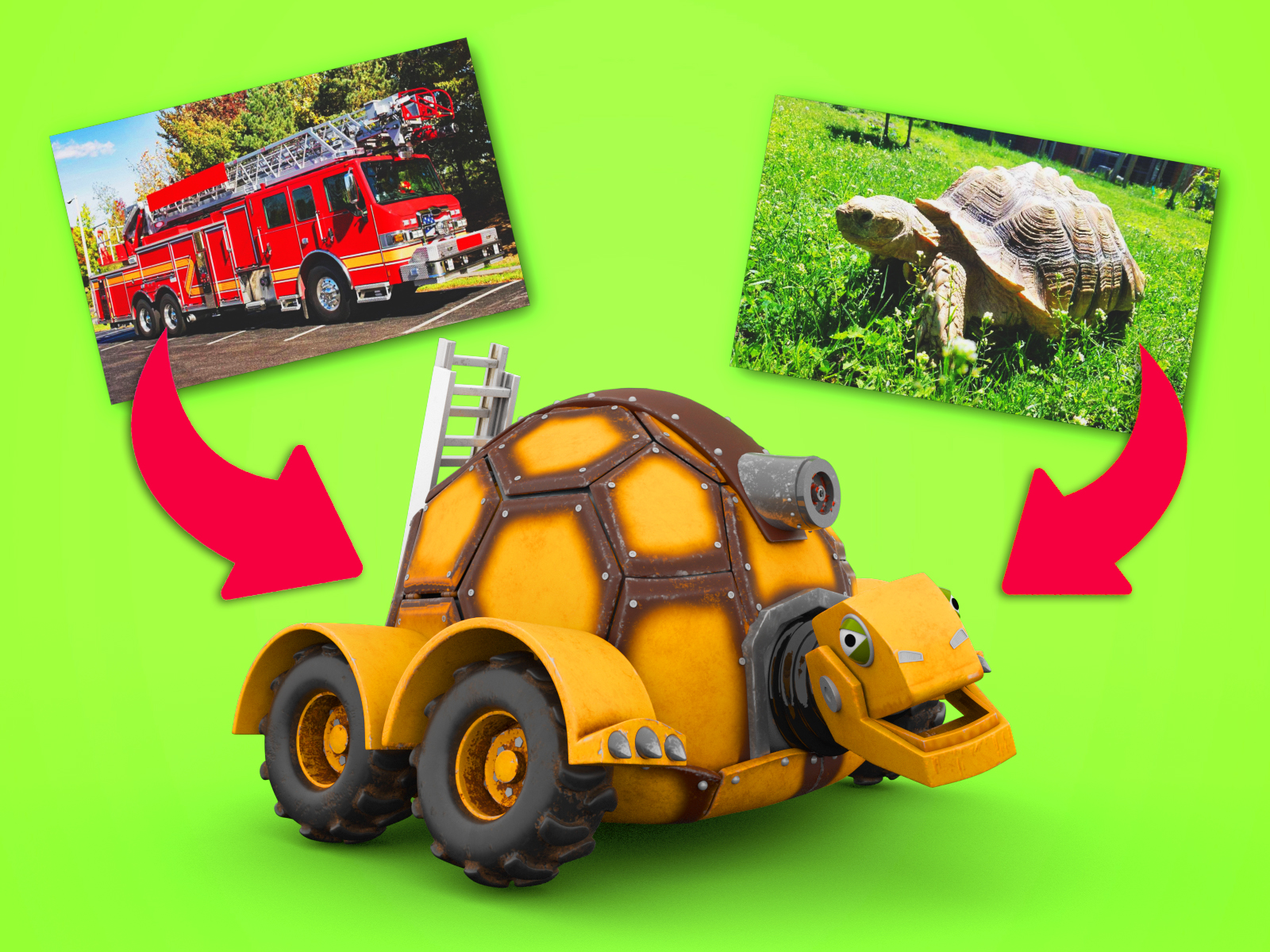 Prime Video: Learning with AnimaCars