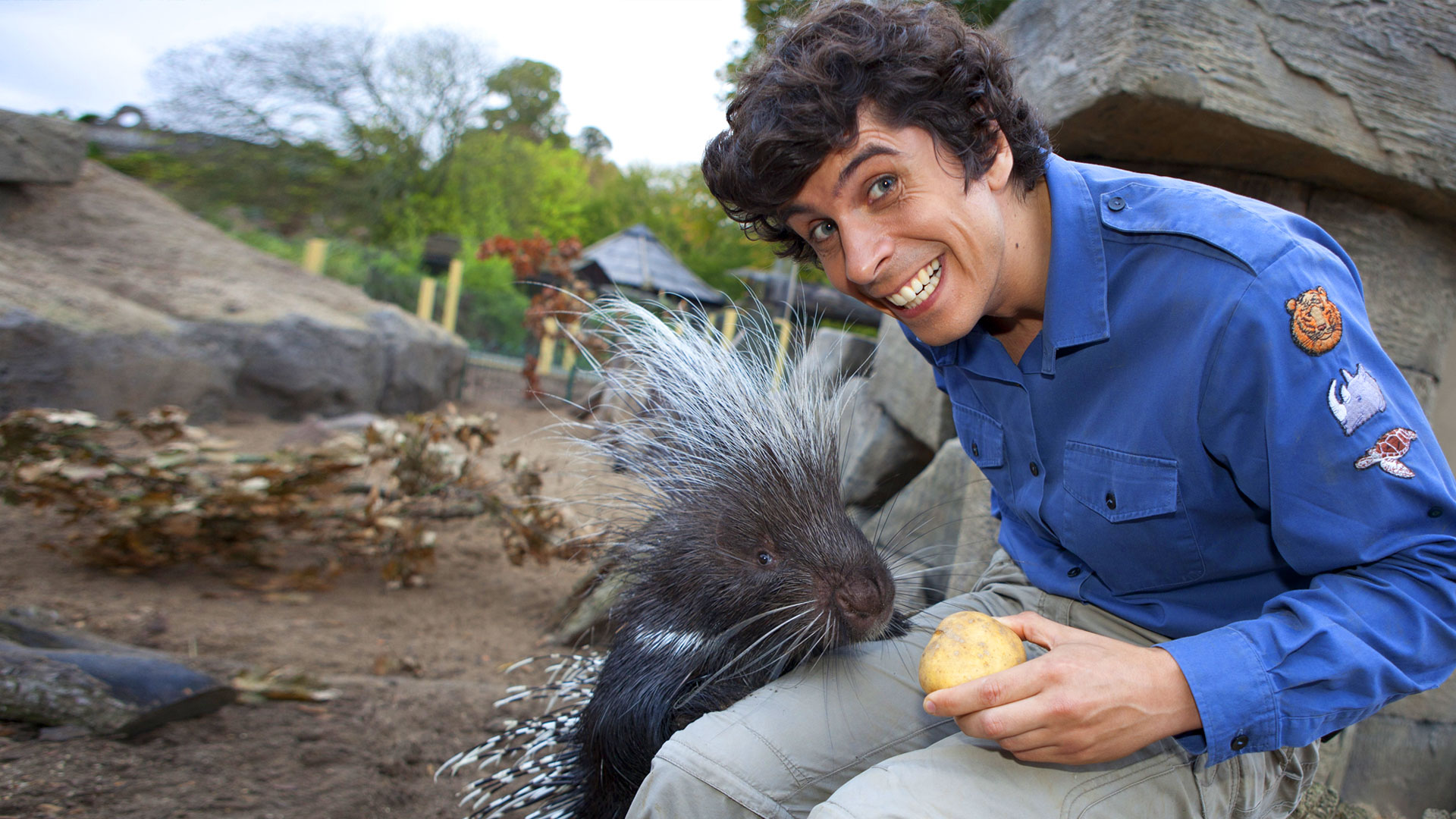 Prime Video: Andy's Wild Adventures Vol. 1