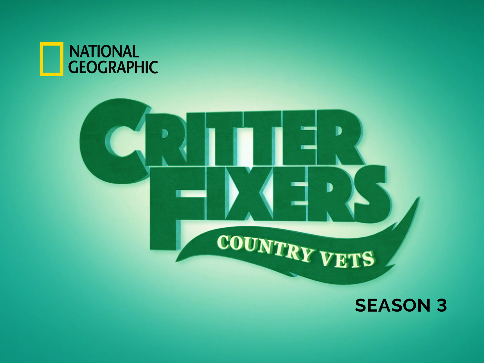Prime Video: Critter Fixers: Country Vets - Season 3