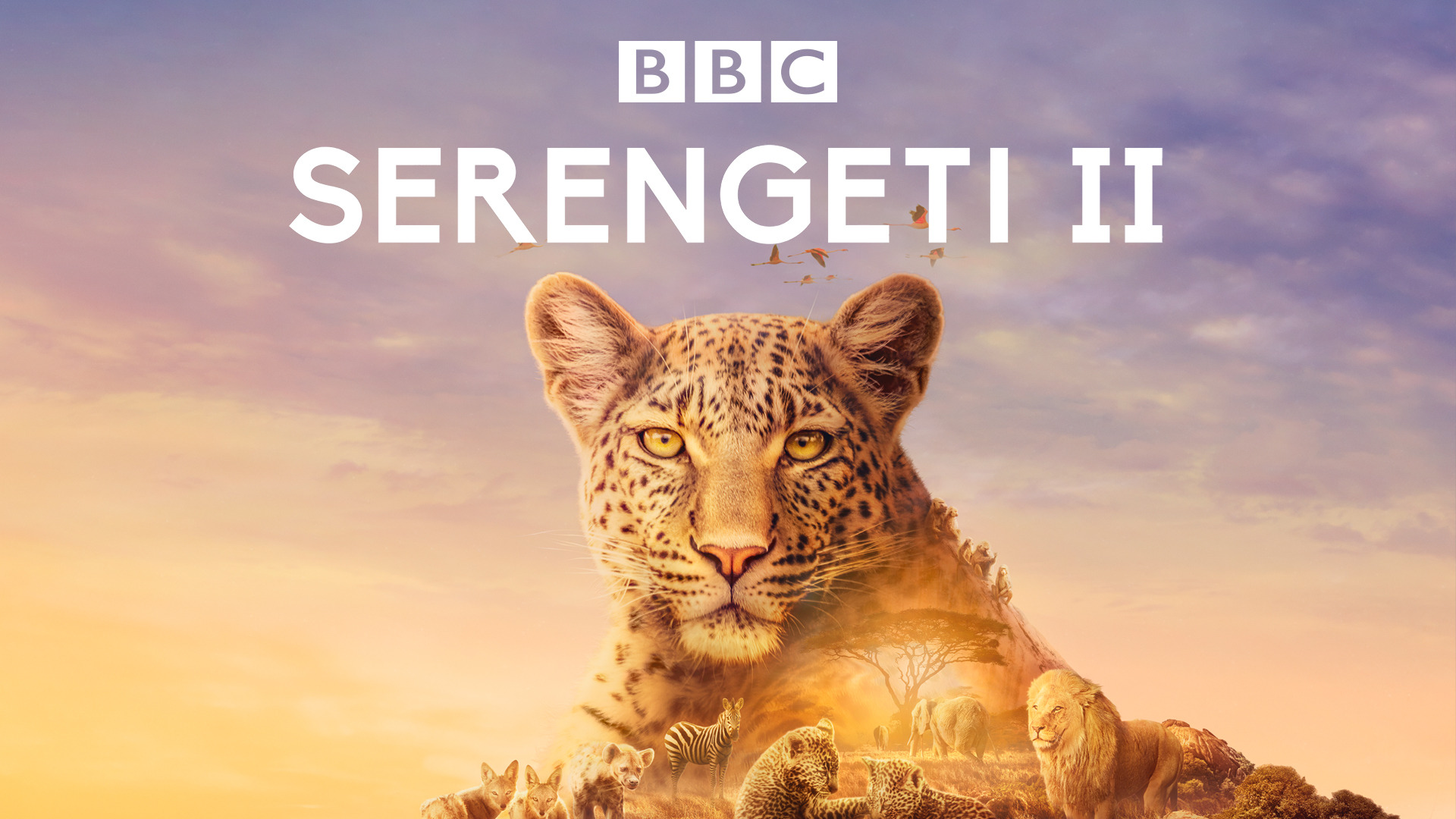 Prime Video: Serengeti, Season 2
