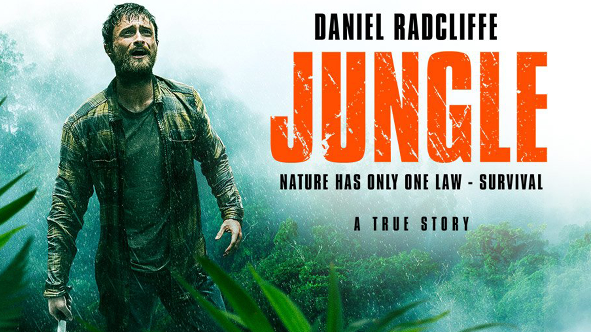 Prime Video: Jungle
