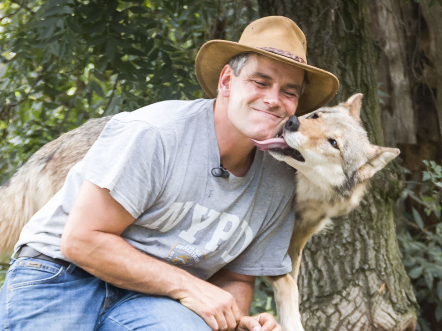 Prime Video: Zoltan the Wolfman - Season 1