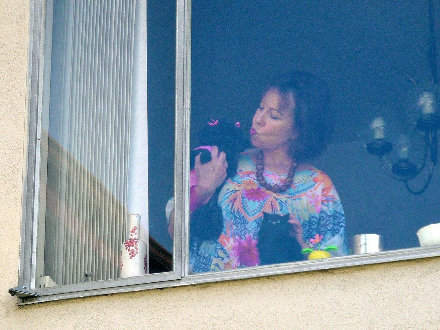 Prime Video: Cry Wolfe - Season 2