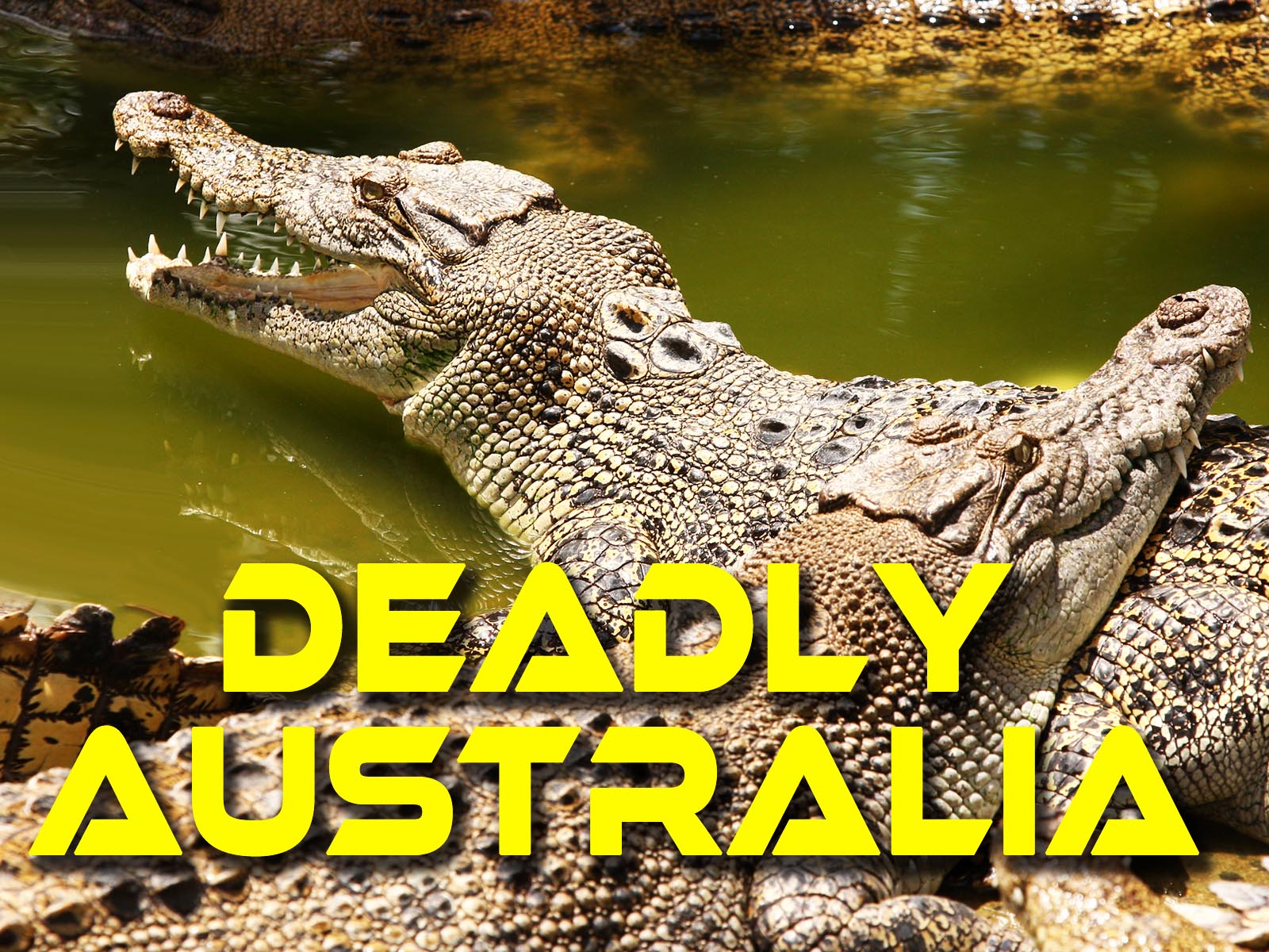 Prime Video: Deadly Australia