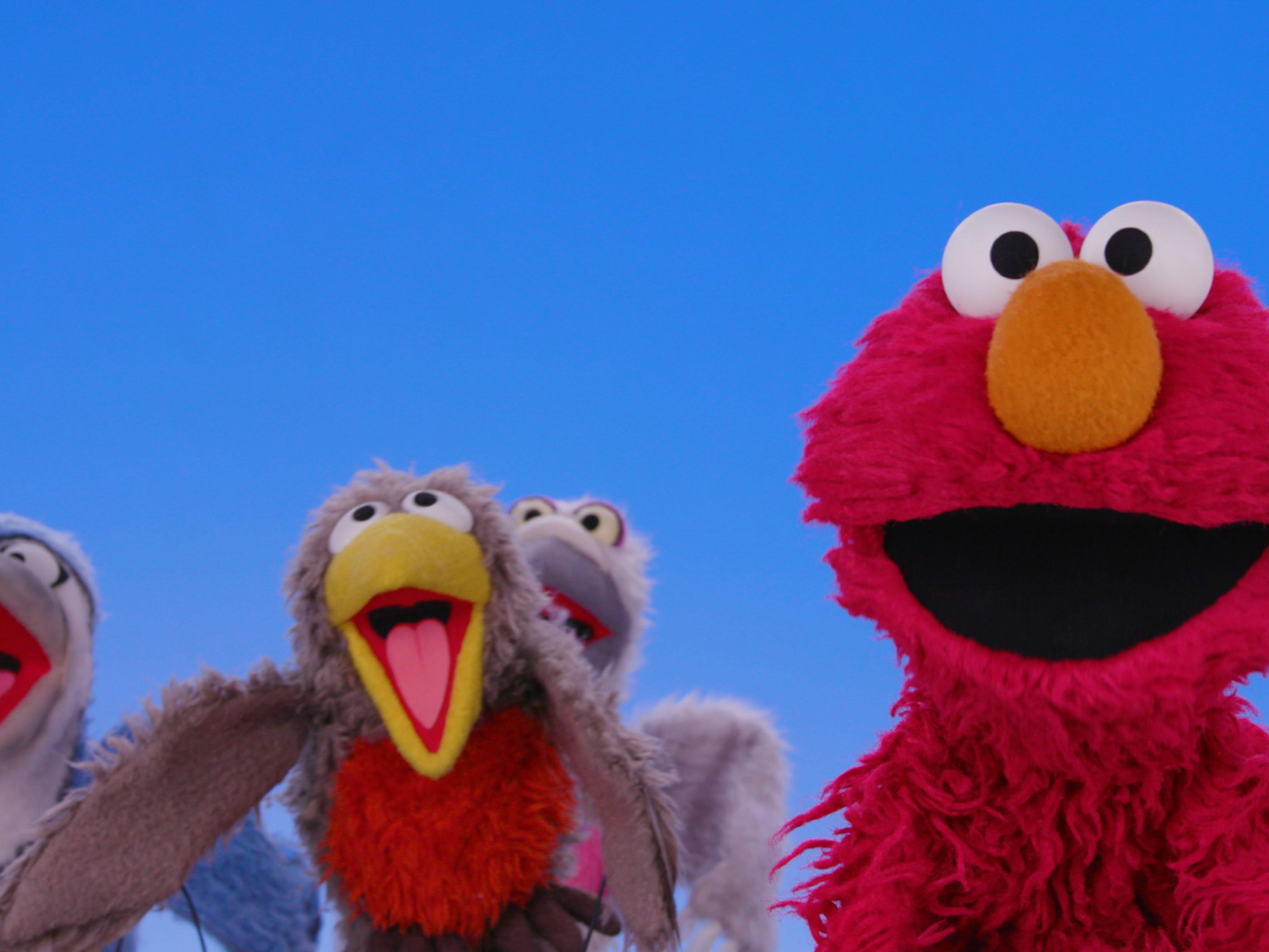 Prime Video: My Sesame Street Friends - Season 5