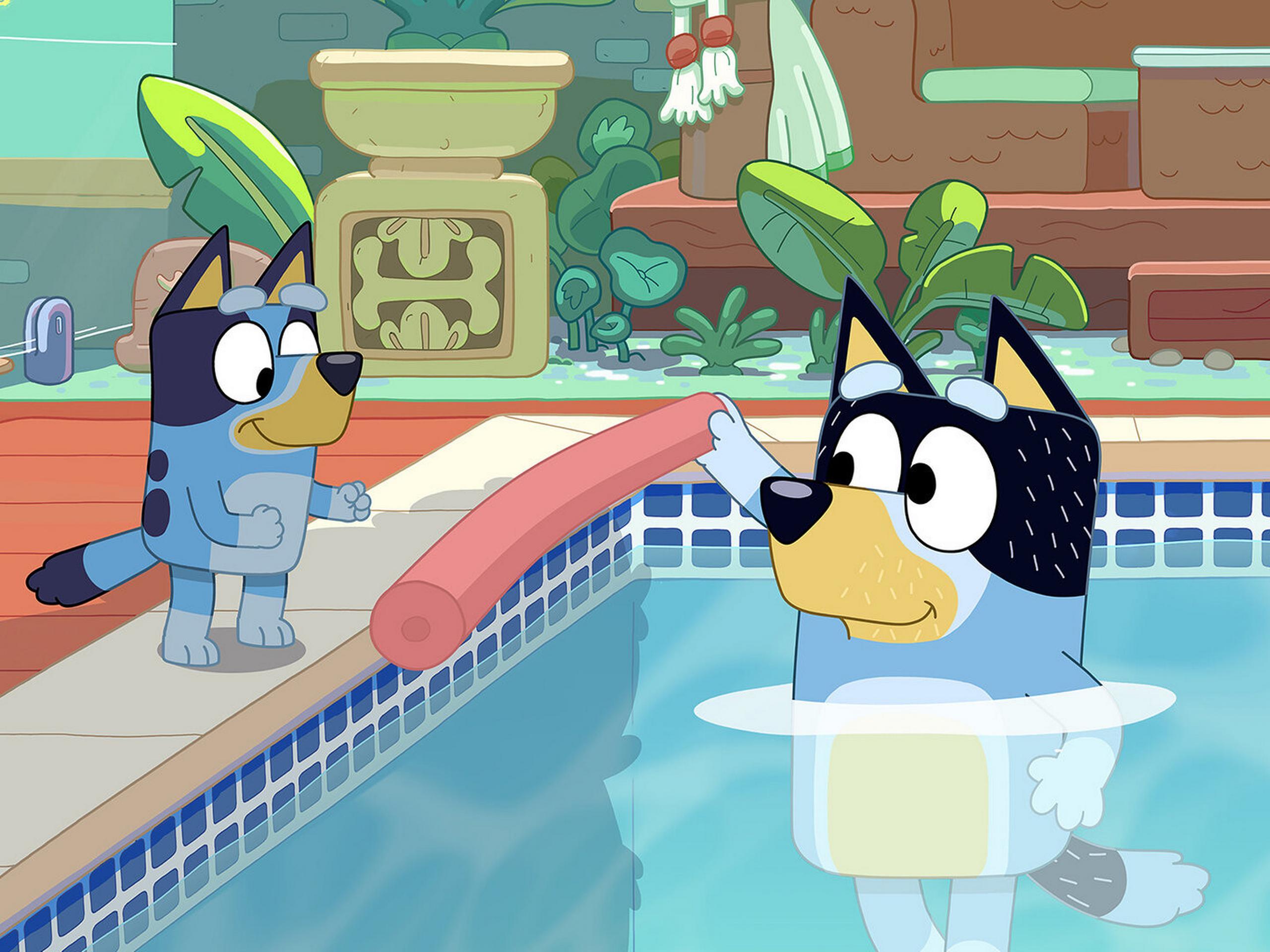 Prime Video: Bluey - Saison 1