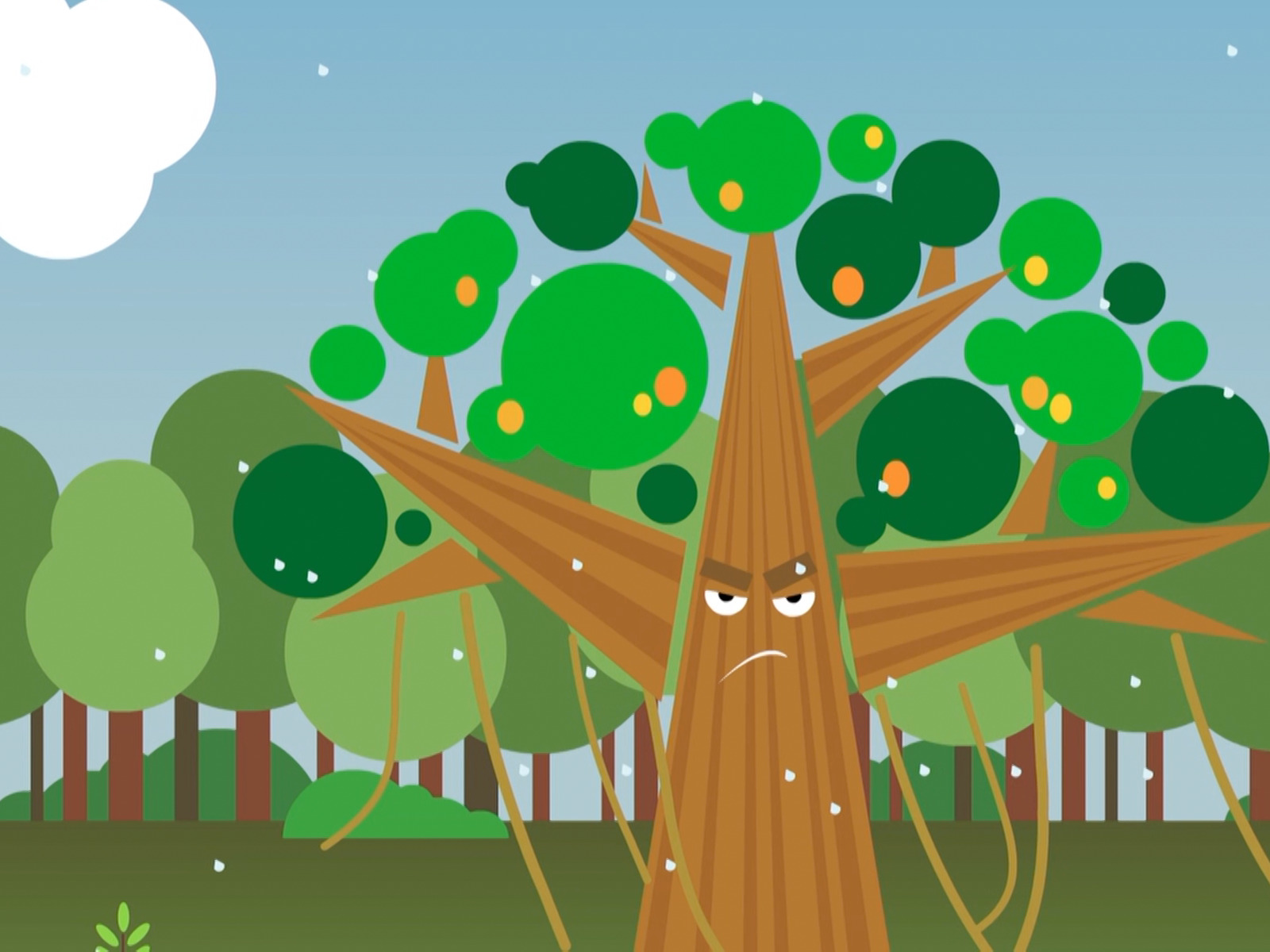 Prime Video: Shapes - Stories for Children