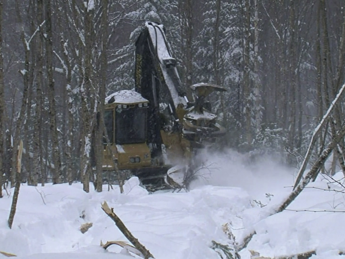 Prime Video: American Loggers - Season 1