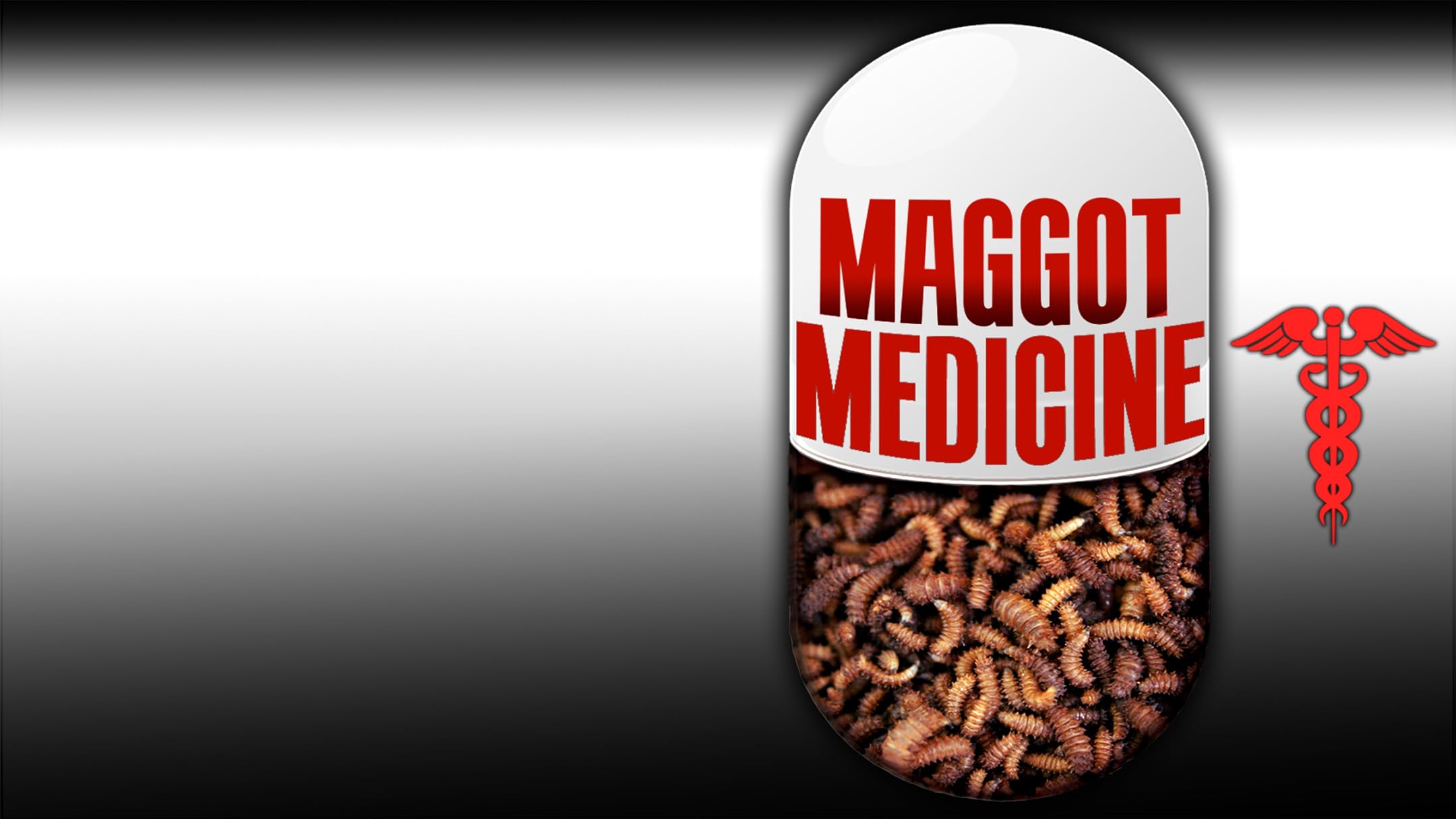 Prime Video: Maggot Medicine