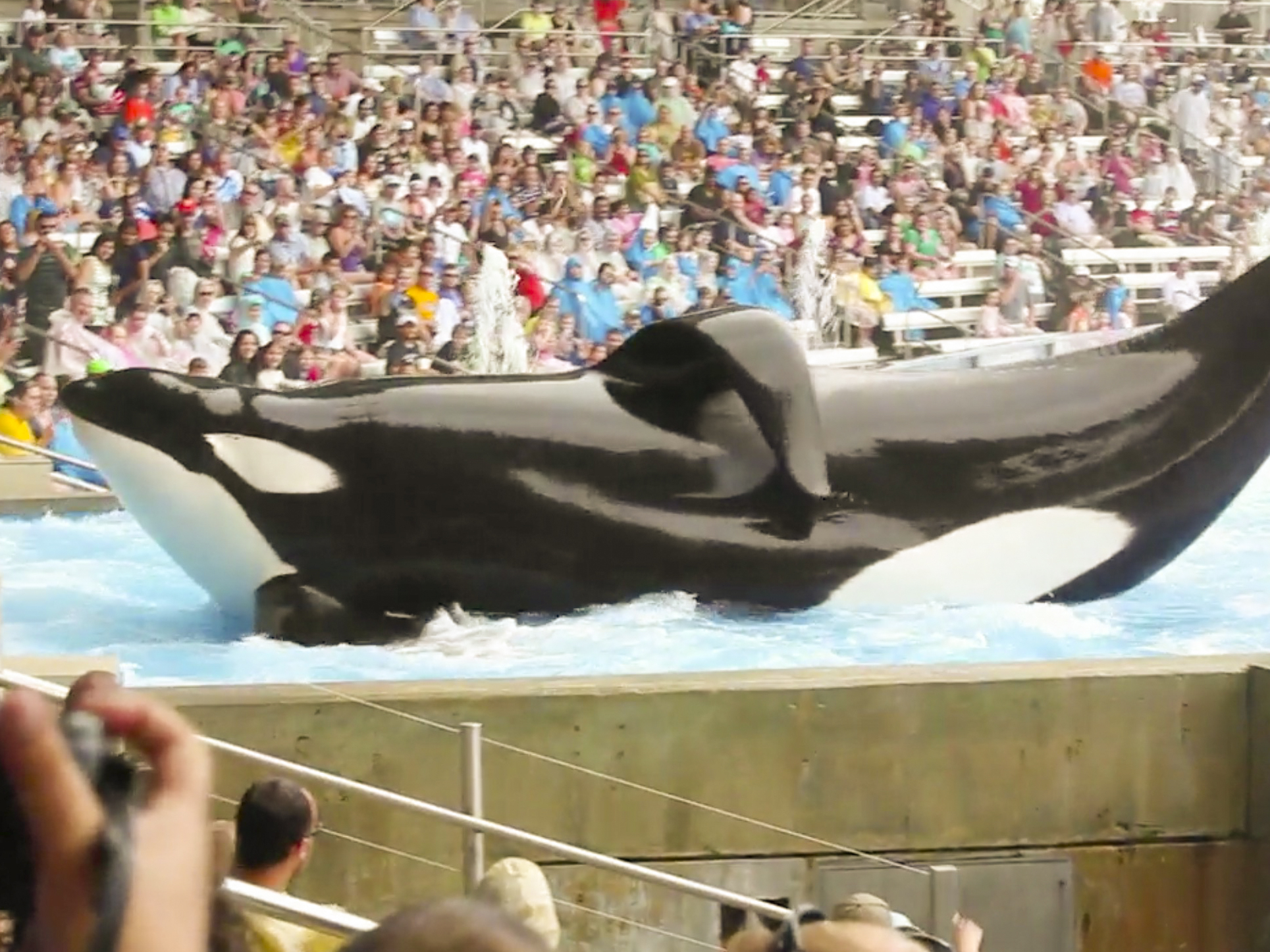 Prime Video: Blackfish - Season 1