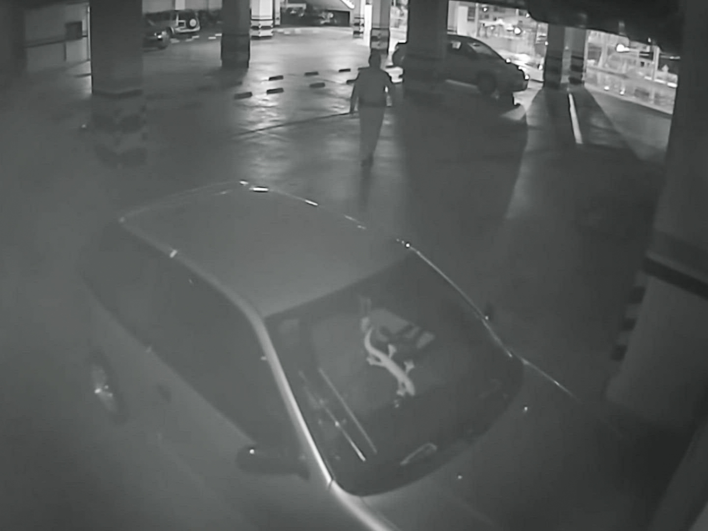 Prime Video: Strange Evidence - Season 5