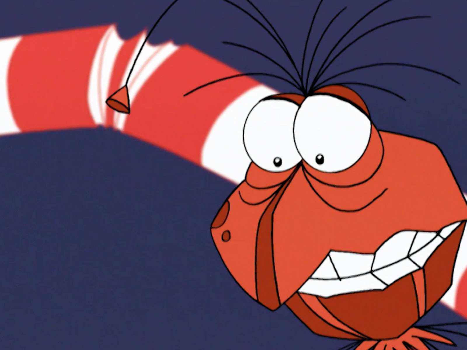 Prime Video: Shtoing Circus