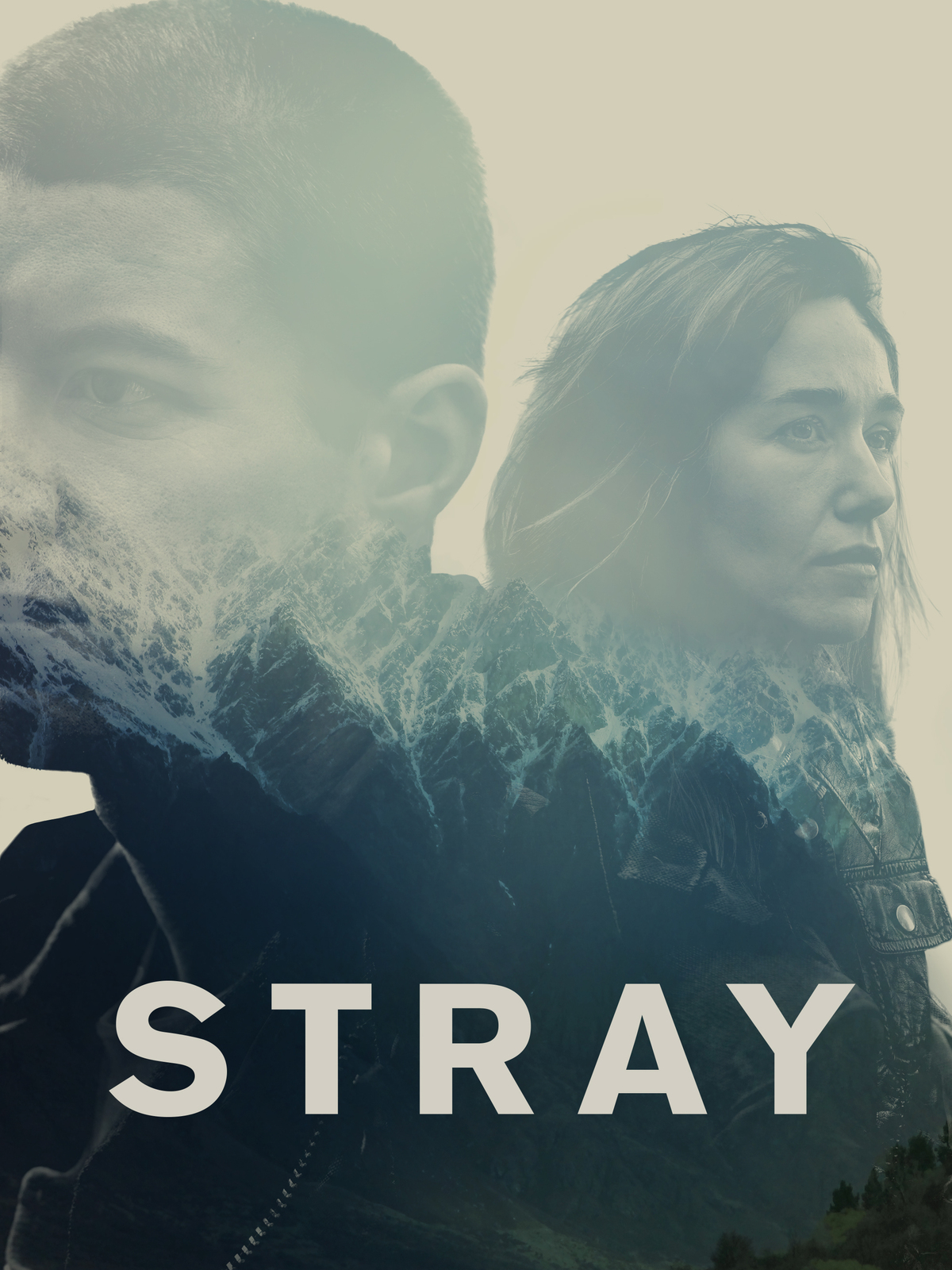Prime Video: Stray