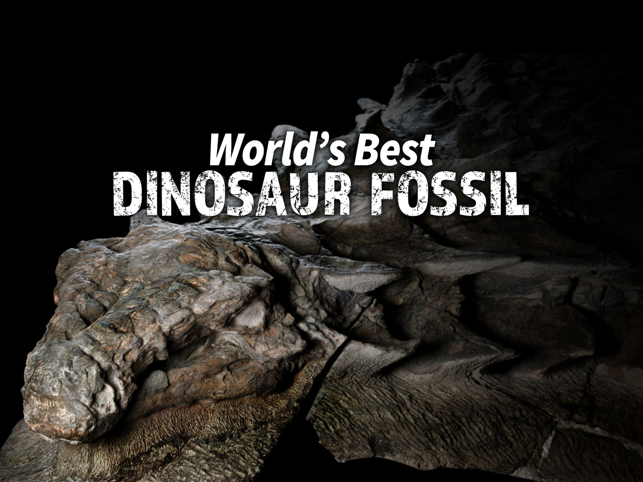 Watch Breakthrough - Season 1 | Prime Video