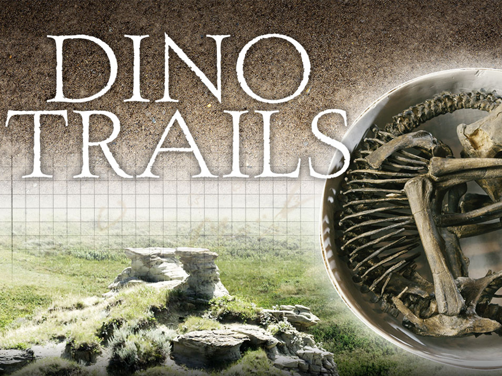 Prime Video: Dino Trails