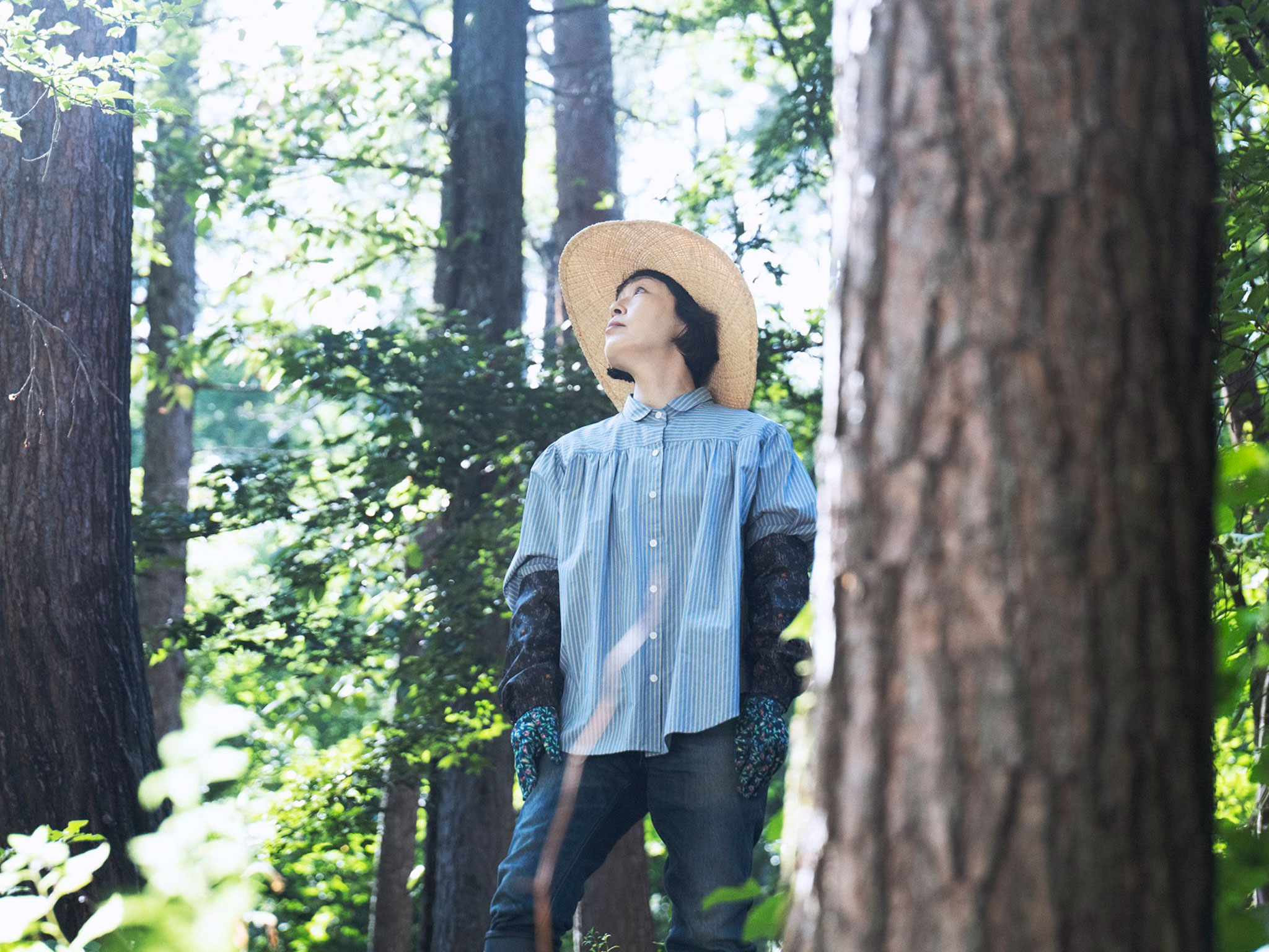 Prime Video: Pension Metsa