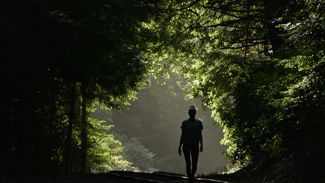 Watch Heal | Prime Video