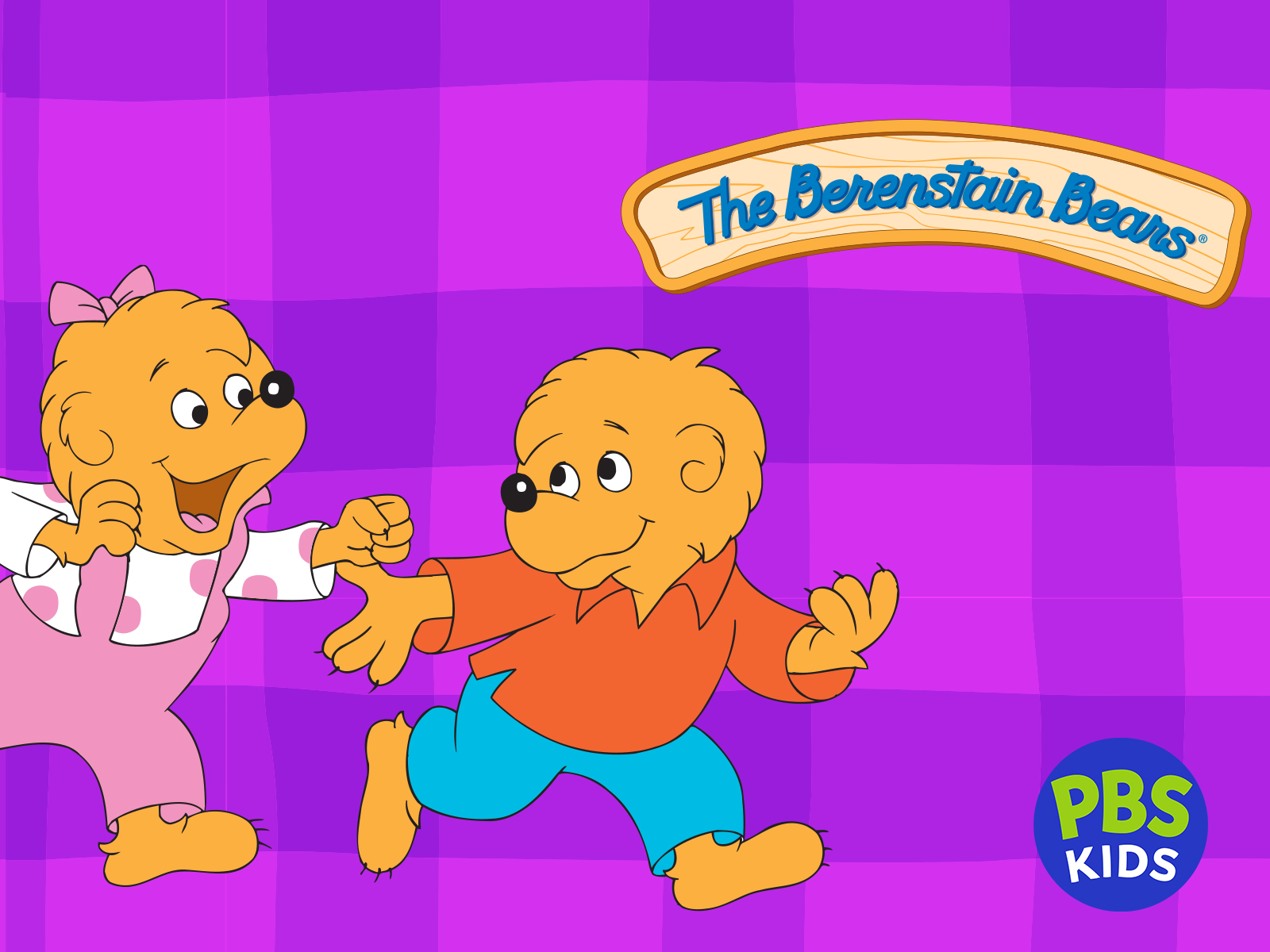 Prime Video: The Berenstain Bears: Volume 1