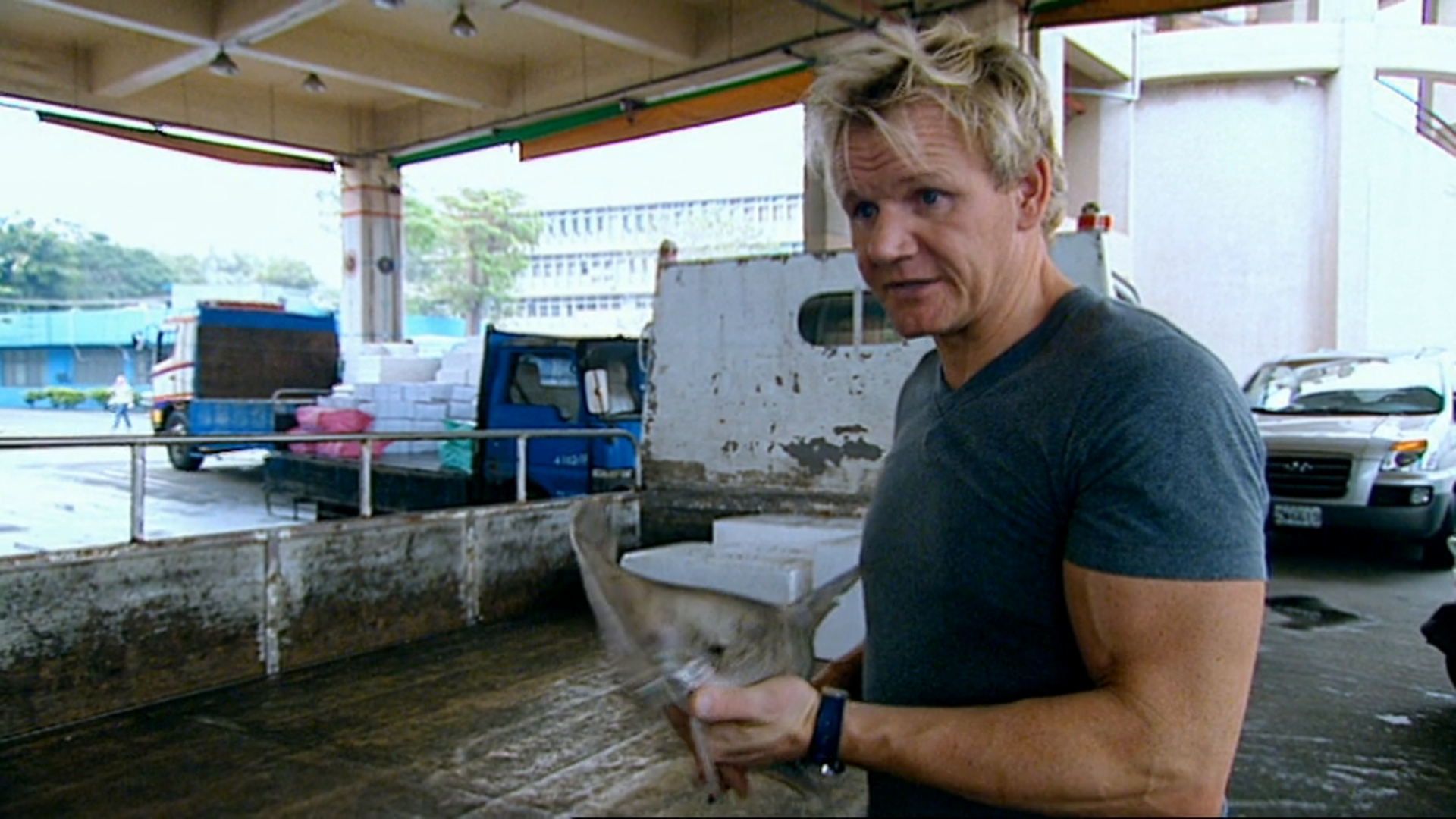 Watch Gordon Ramsay: Shark Bait | Prime Video