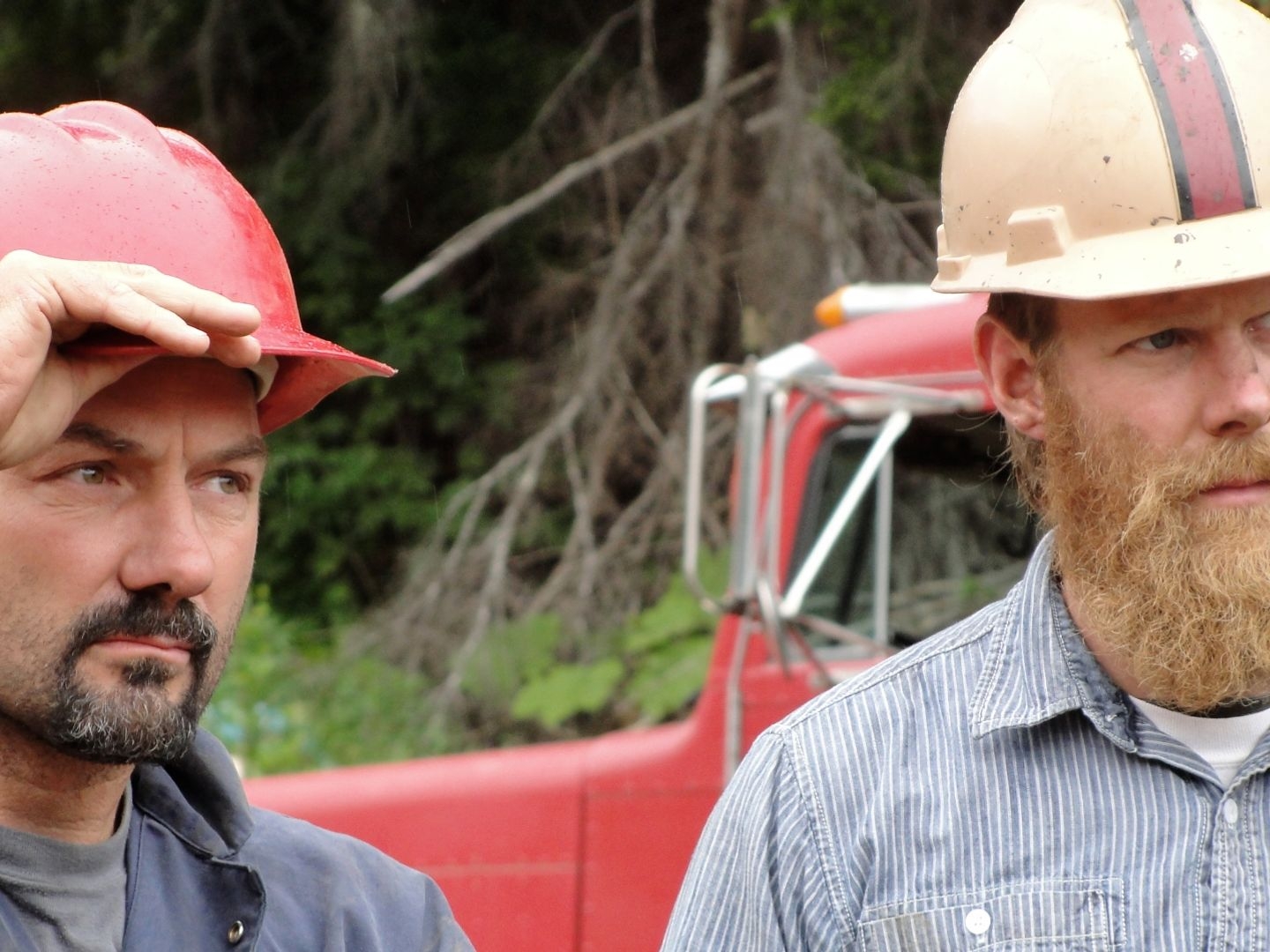 Prime Video: Gold Rush - Season 1