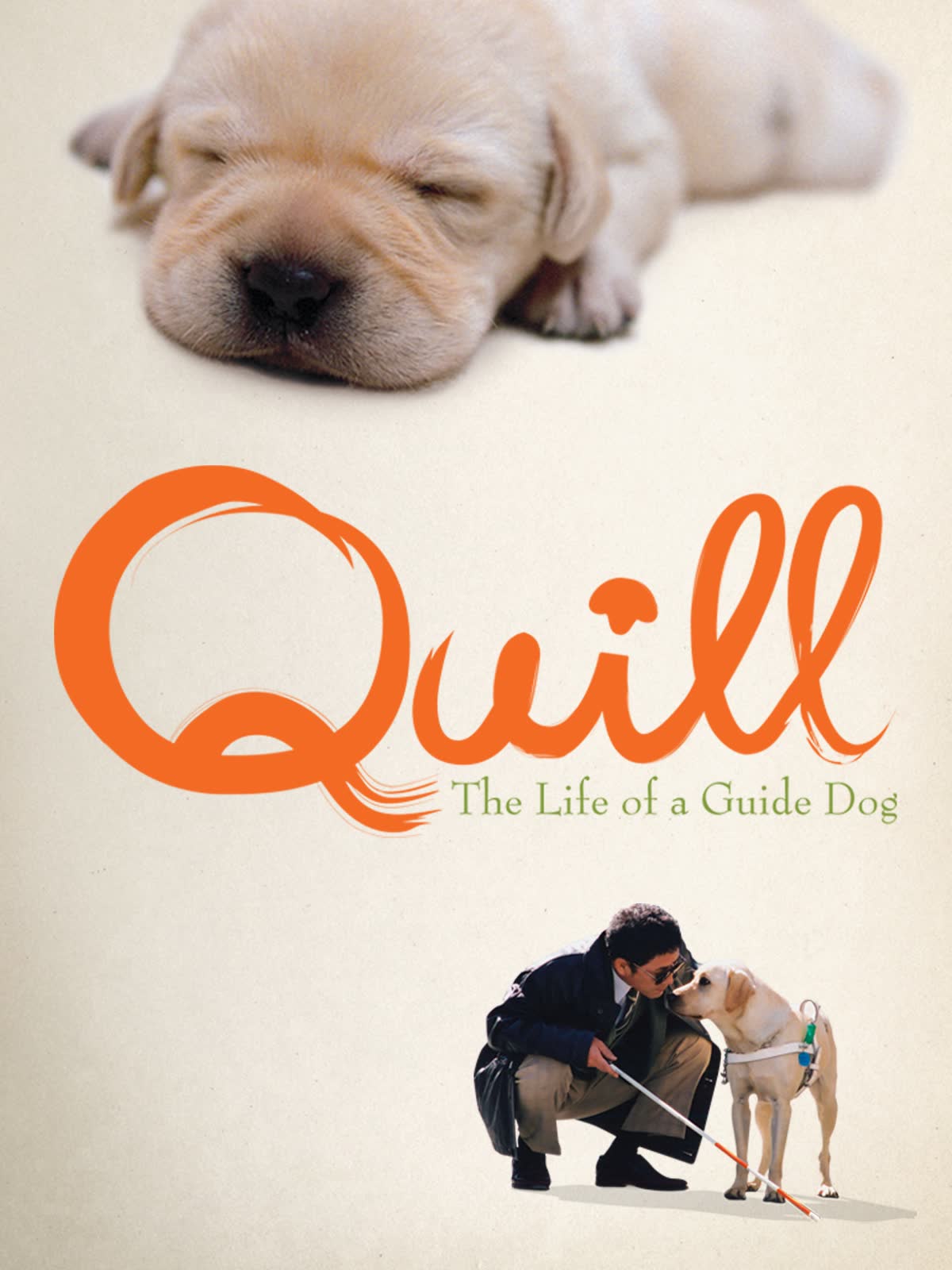 Prime Video: Quill: The Life of a Guide Dog