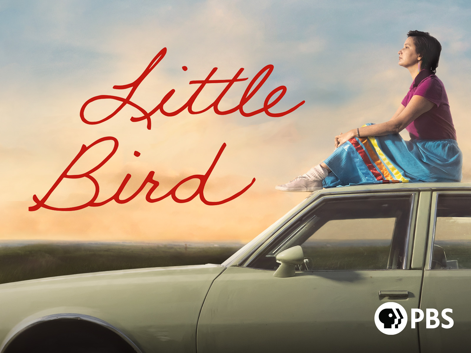 Prime Video: Little Bird, Season 1