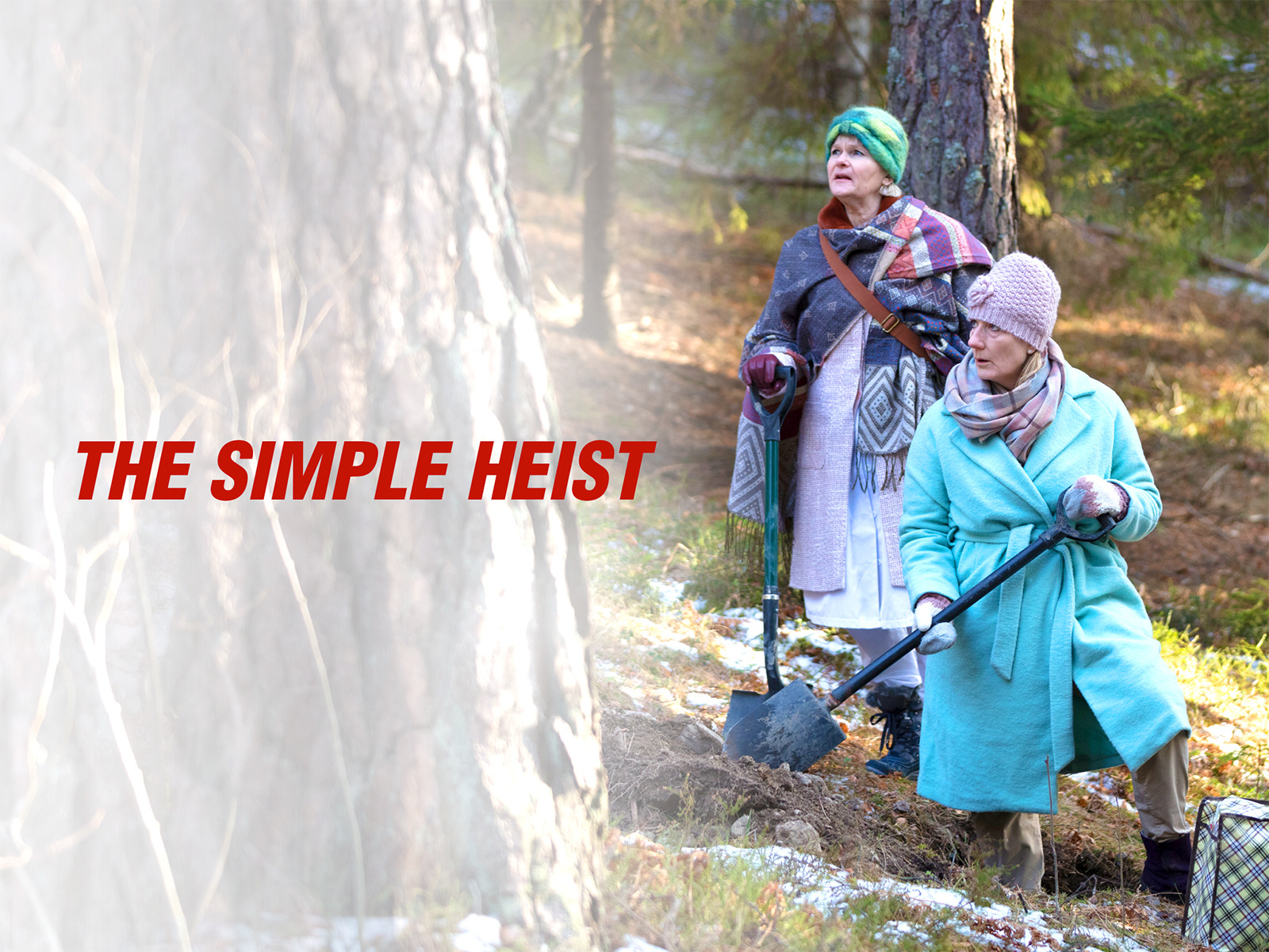 Prime Video: The Simple Heist - Series 2