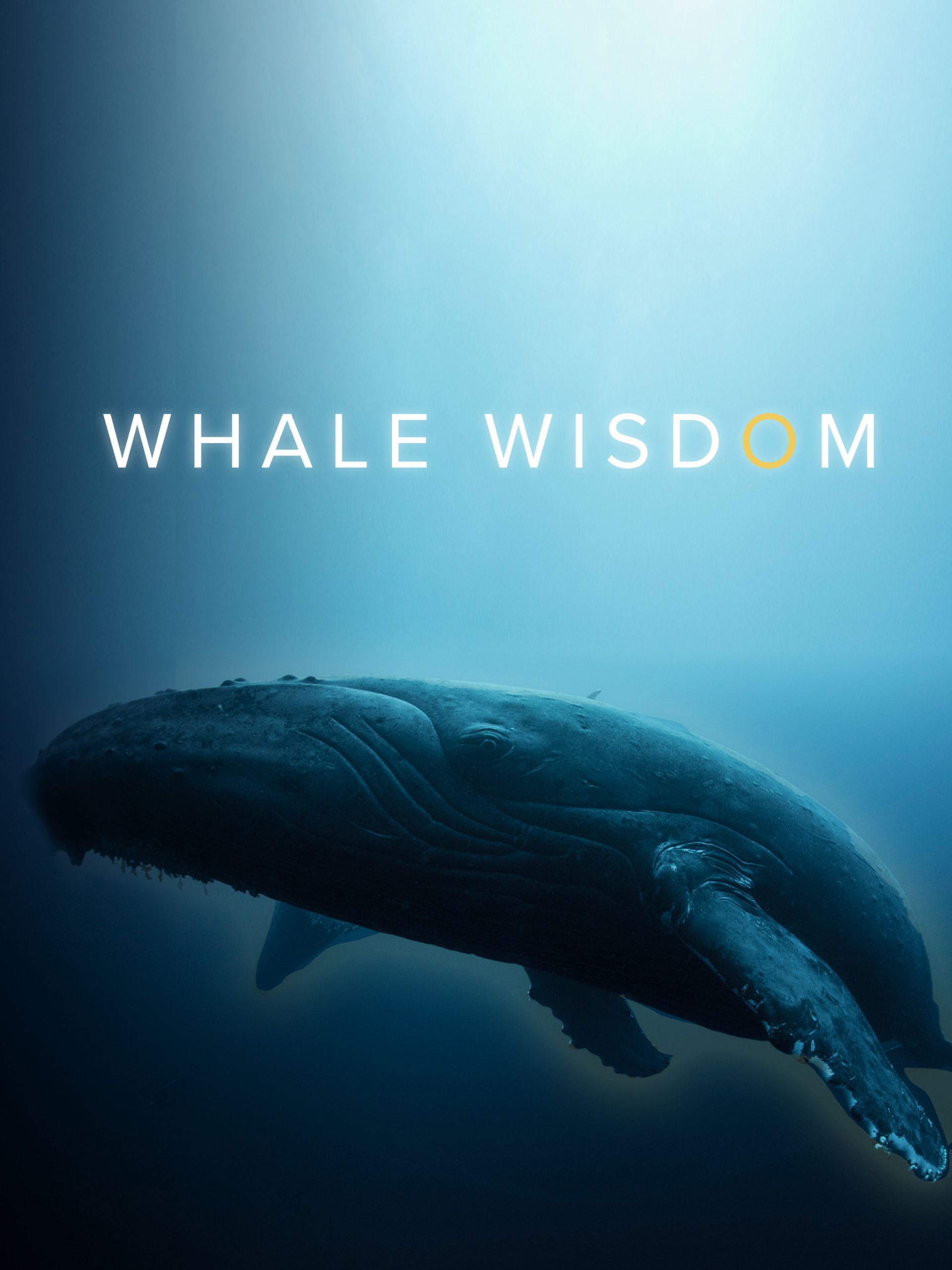 Prime Video: Whale Wisdom