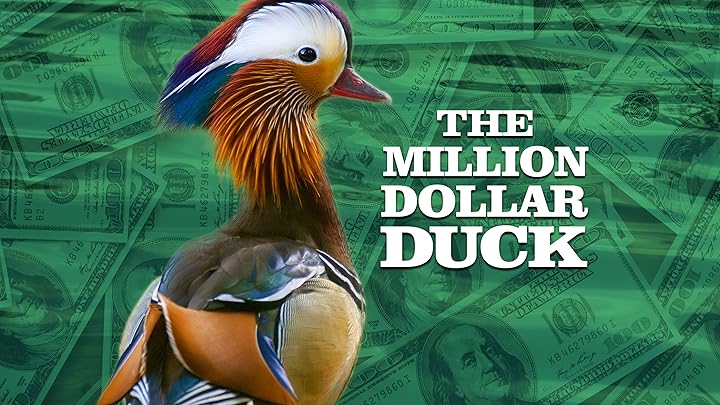Prime Video: The Million Dollar Duck - Season 1