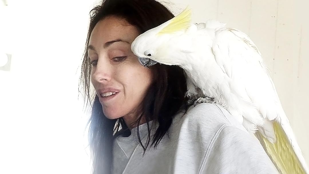 Prime Video: Heidi Fleiss: The Would-Be Madam of Crystal