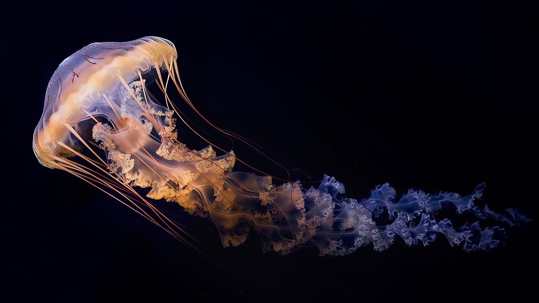 Prime Video: Alien Abyss