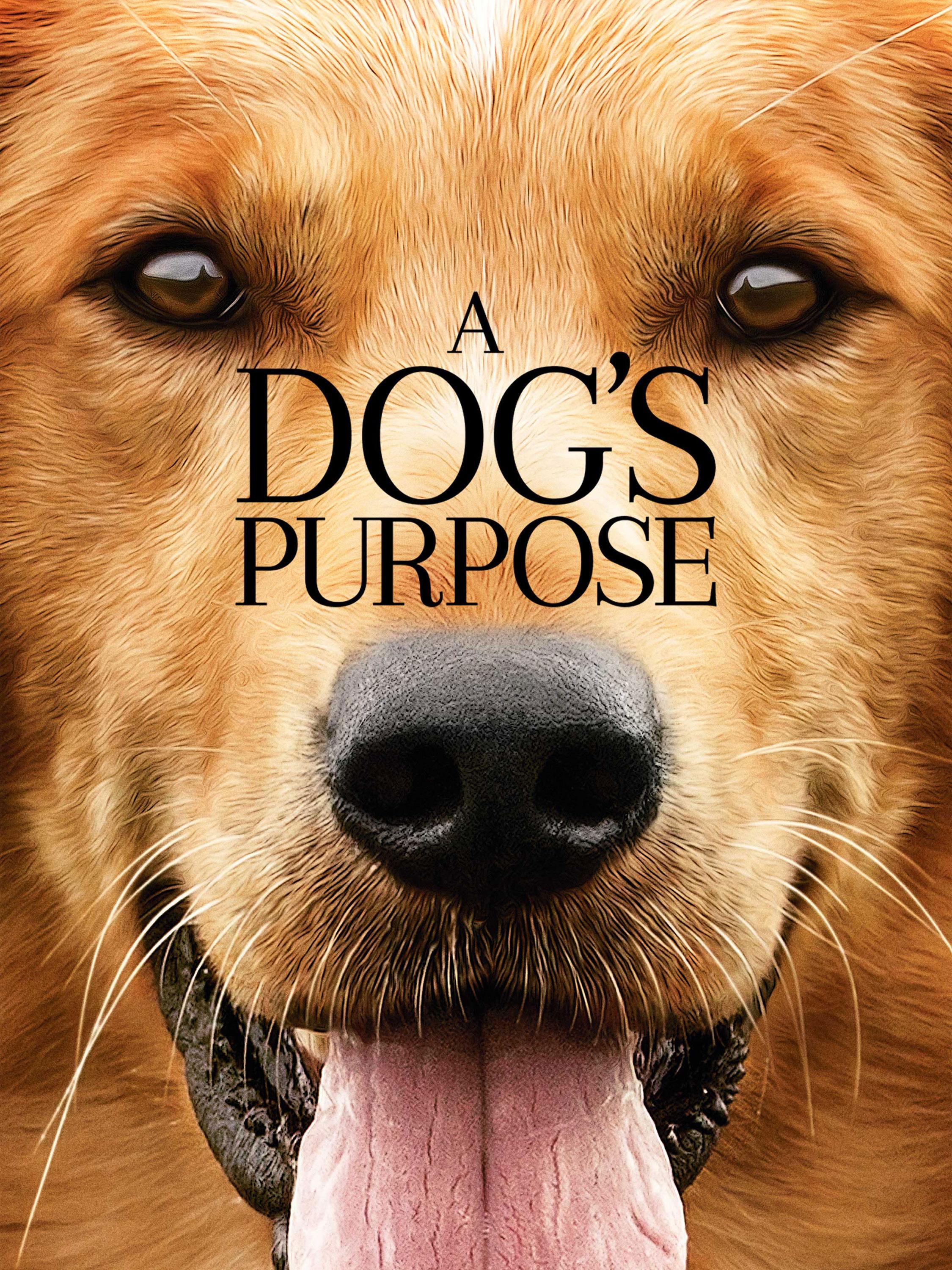 Prime Video: A Dog's Purpose