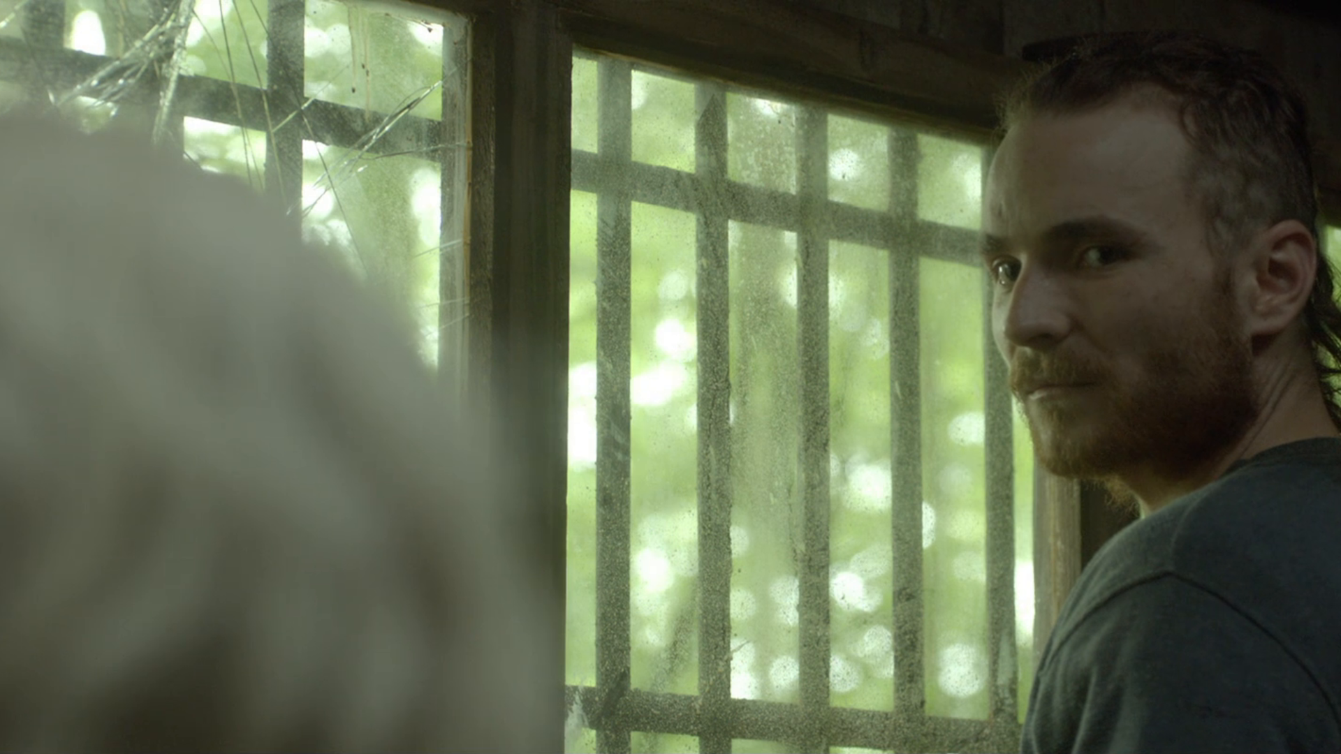 Prime Video: The Survivalist