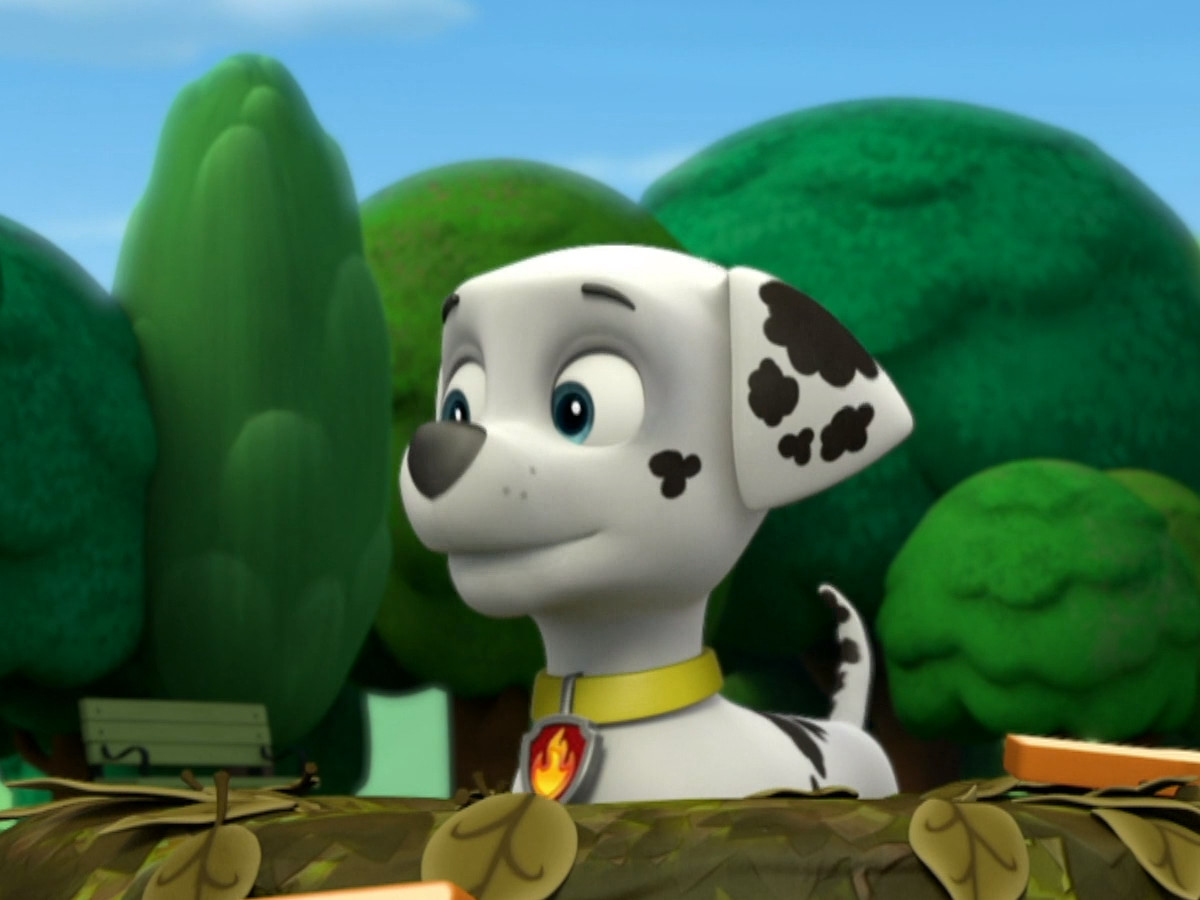 Prime Video: Paw Patrol Season 1