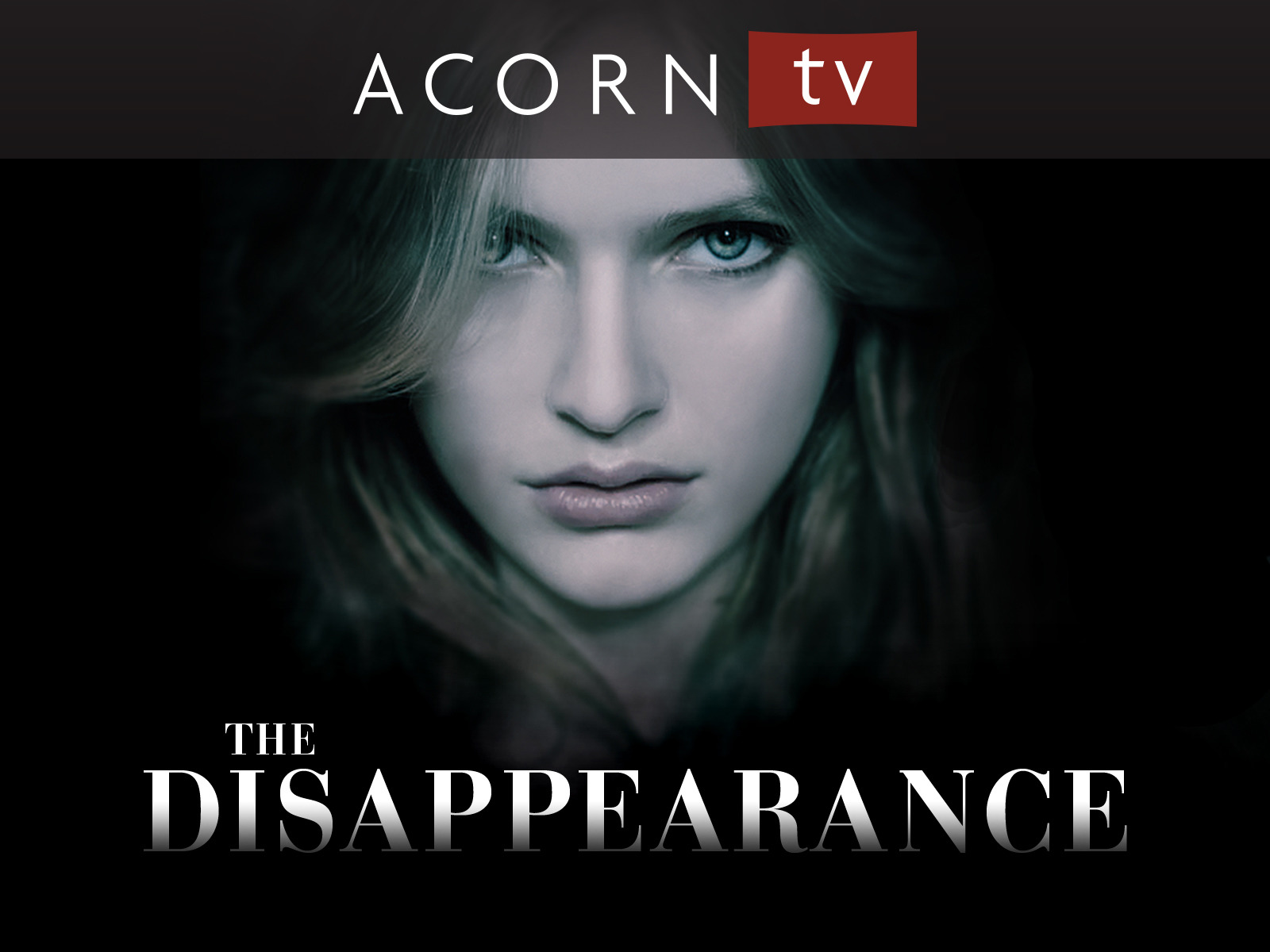 Prime Video: The Disappearance (English Subtitled)