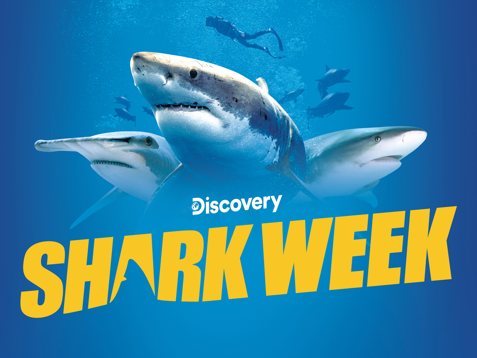 Prime Video: Shark Week 2021 D+ Trailer - Season 1