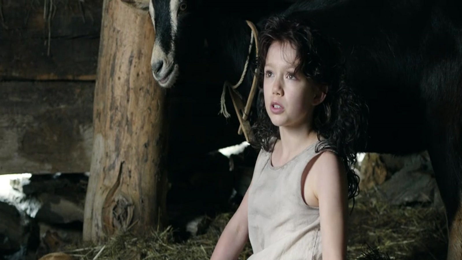 Watch Heidi | Prime Video