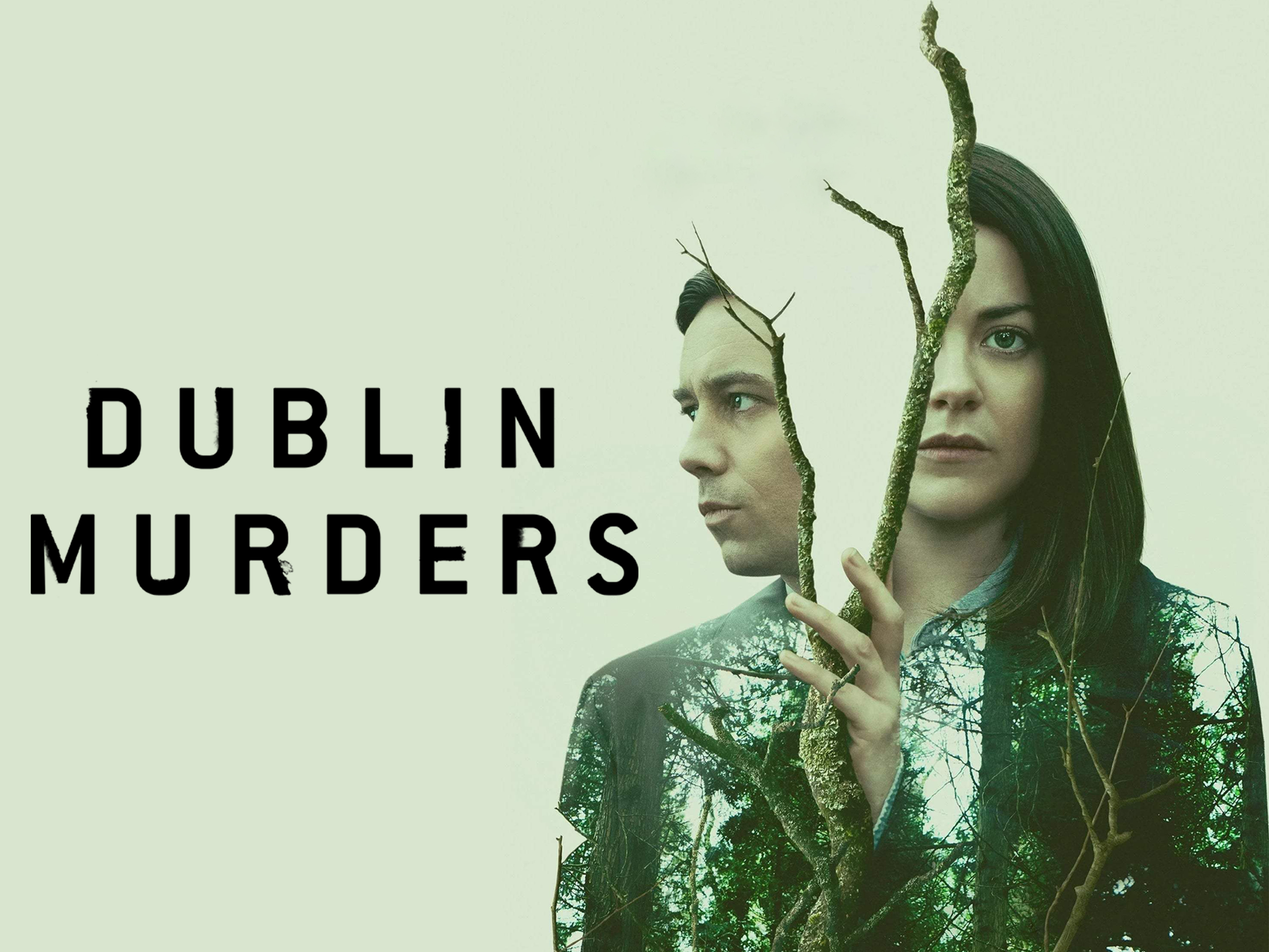 Prime Video: Dublin Murders Season 1