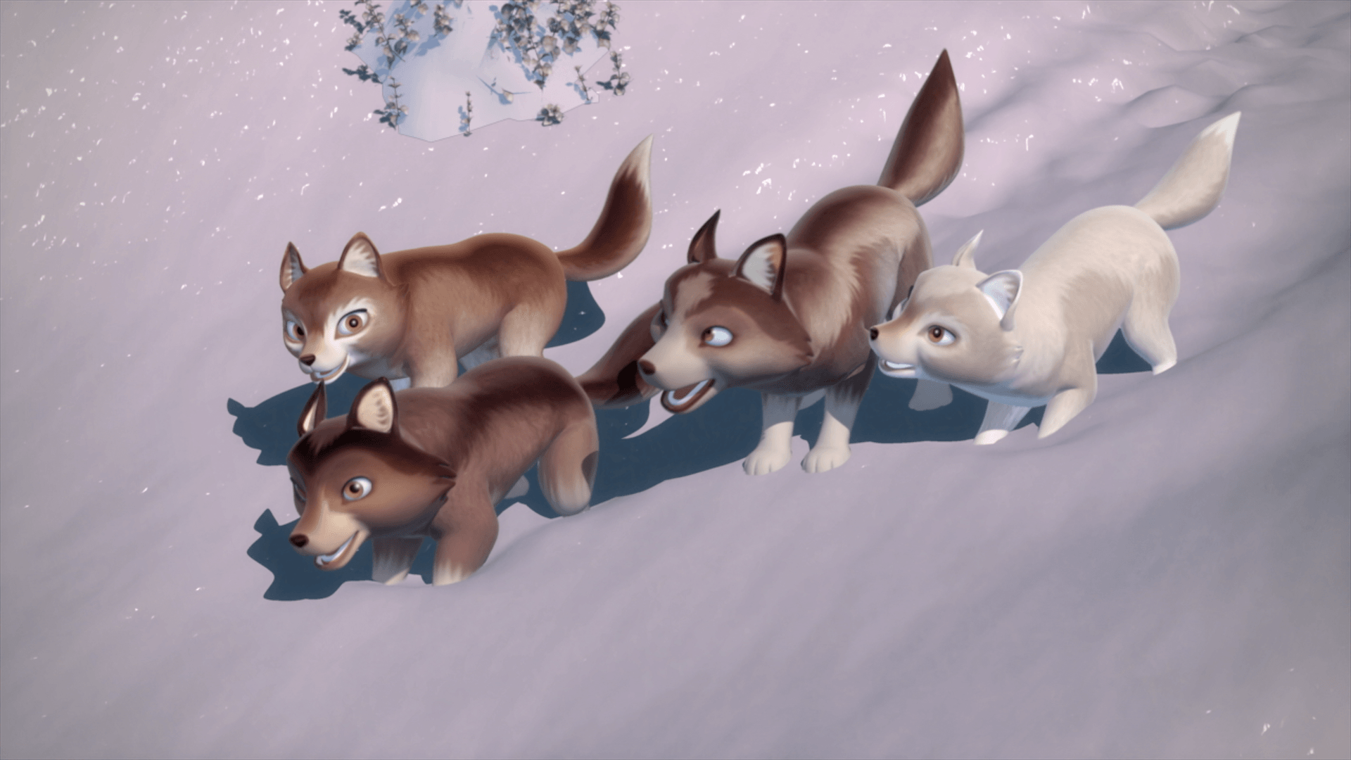 Prime Video: Tales of Tatonka