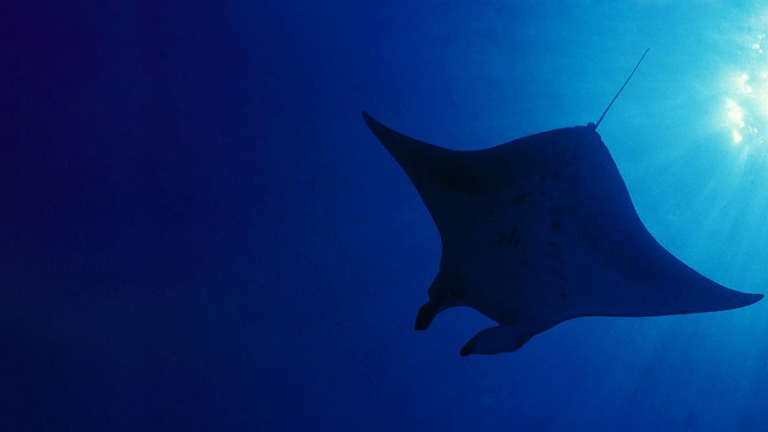 Prime Video: Blue Planet - Season 1