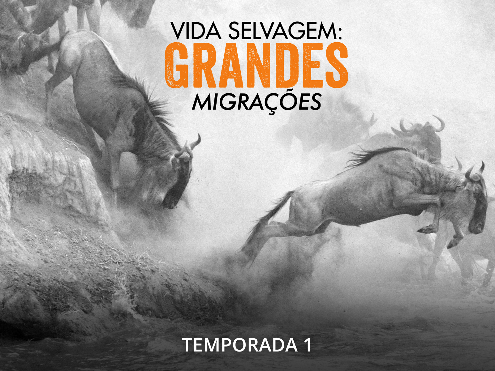 Prime Video: Nature's Great Migrations - Season 1