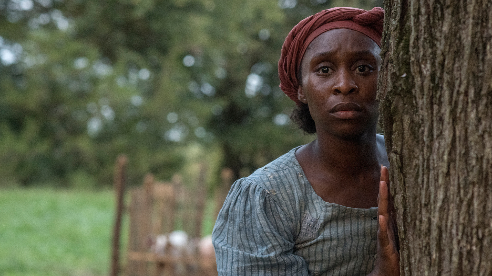 Watch Harriet | Prime Video