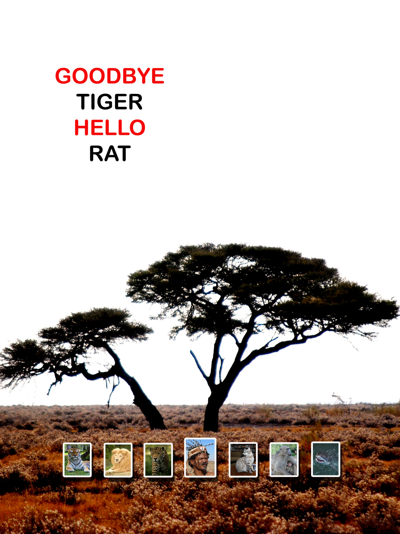 Prime Video: Goodbye Tiger Hello Rat