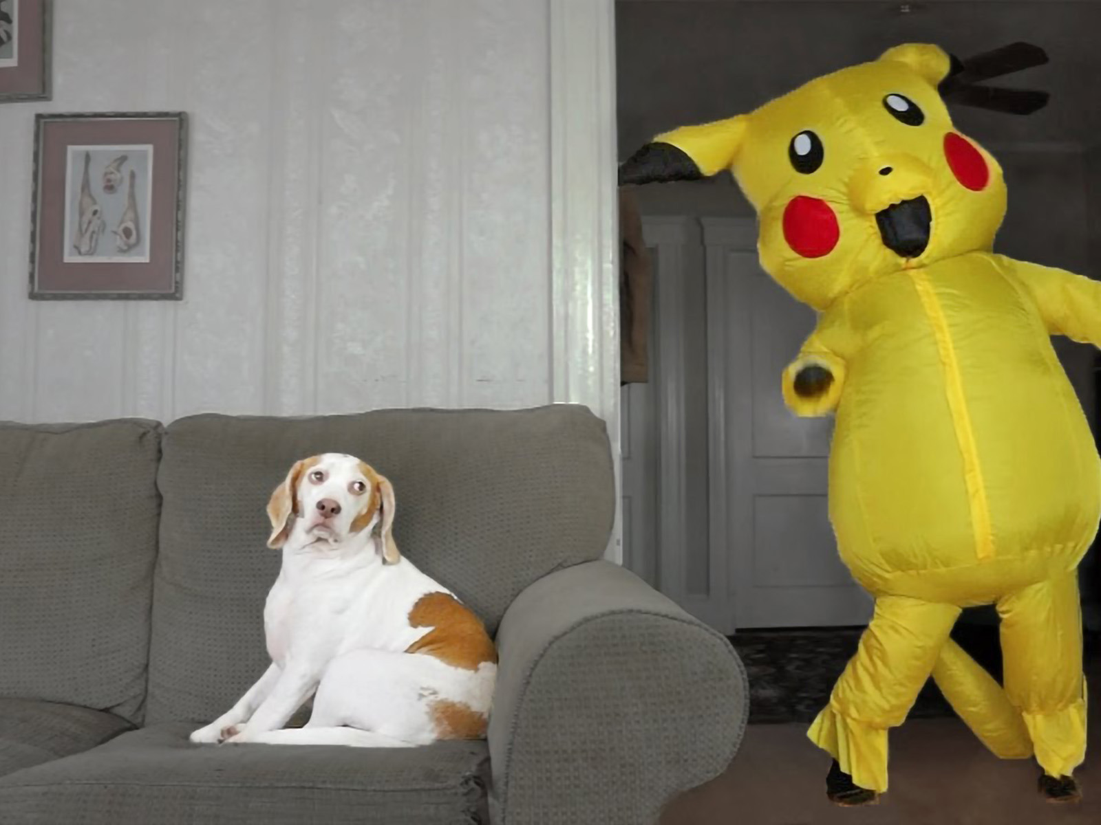 Prime Video: Maymo Gets Pranked